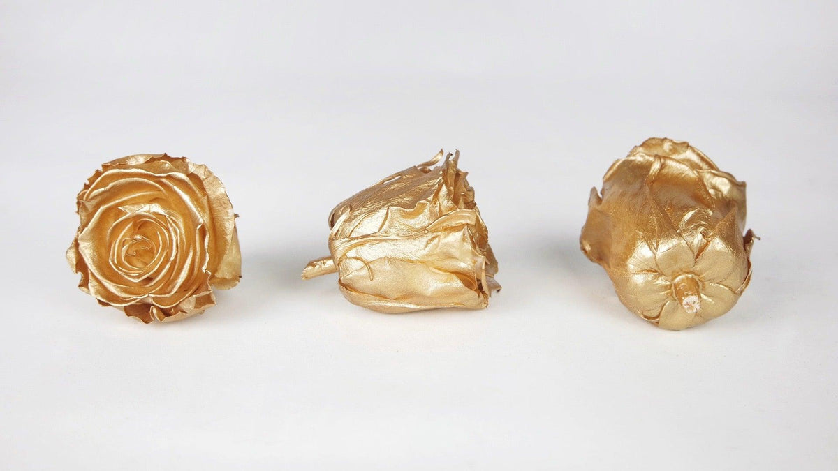 Roses stabilisées Kiara Splendid dorées - Si-nature